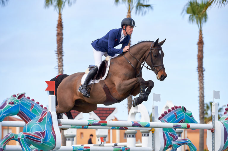 Oliva Nova Equestrian Center | Horse Riding in a Privileged Setting